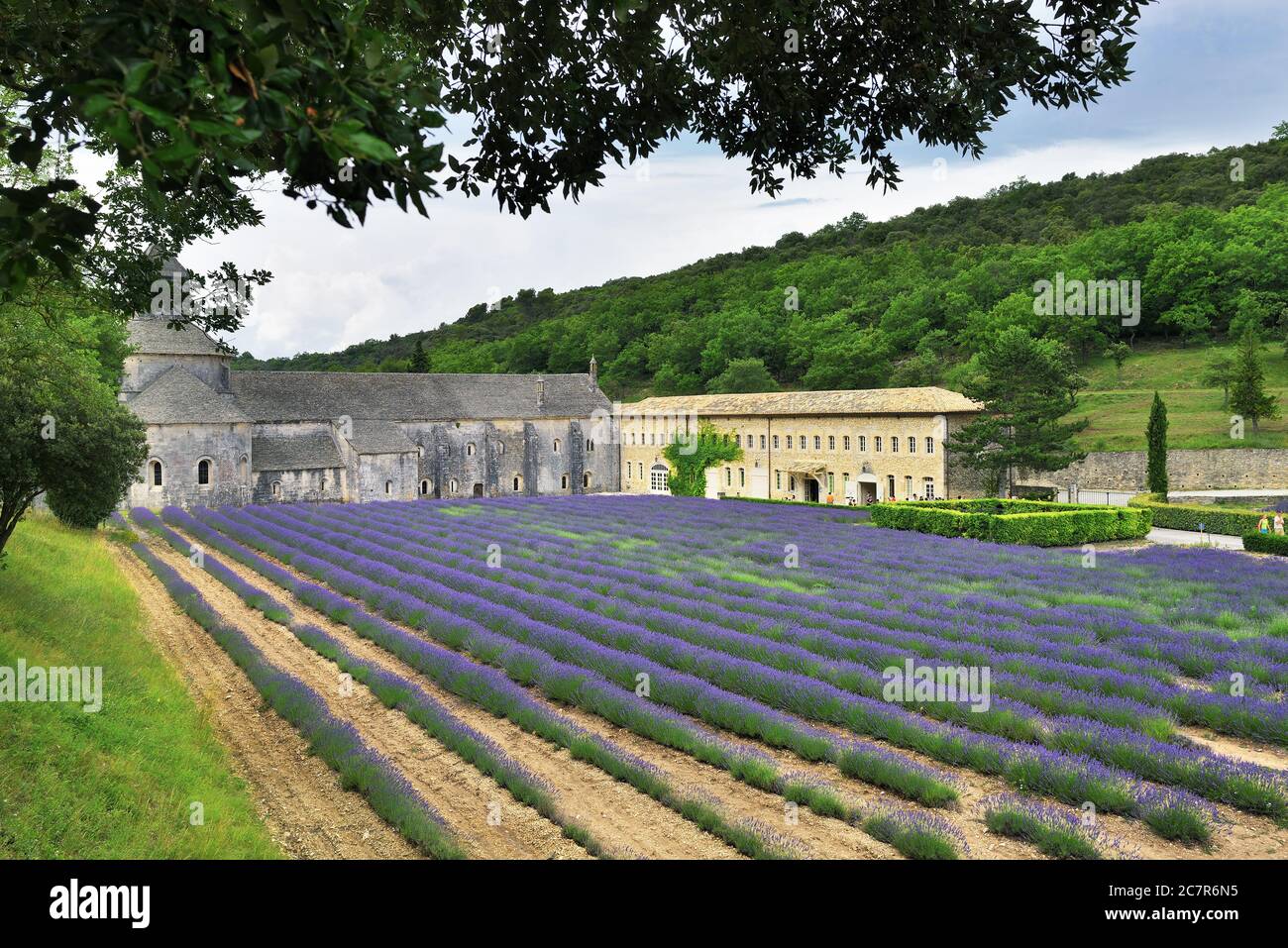 An ancient monastery Abbaye Notre-Dame de Senanque (Abbey of Senanque ...