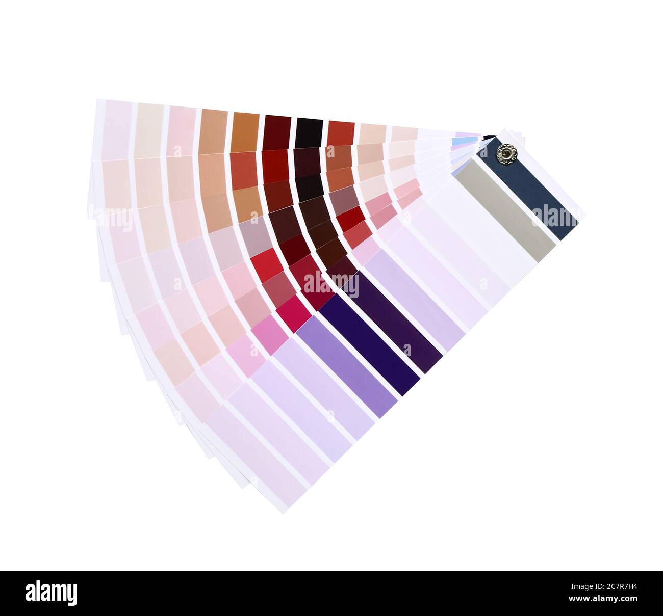 Color palettes on white background Stock Photo - Alamy