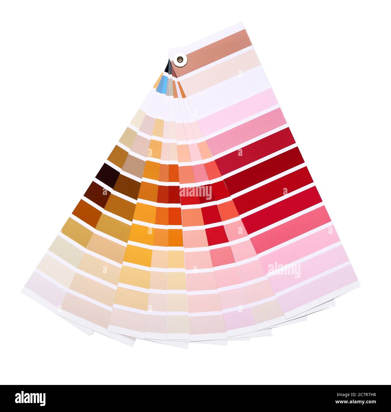 Color palettes on white background Stock Photo - Alamy