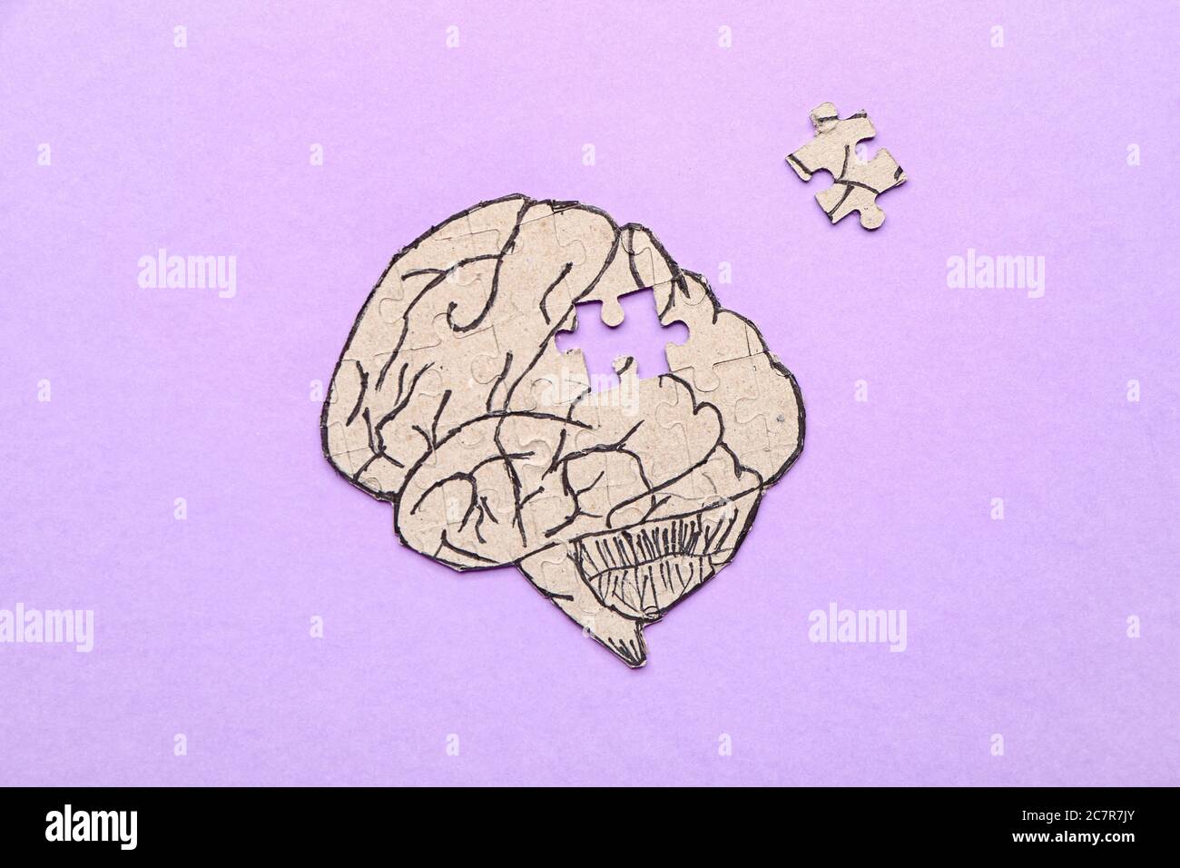 Human brain lost piece hi-res stock photography and images - Alamy