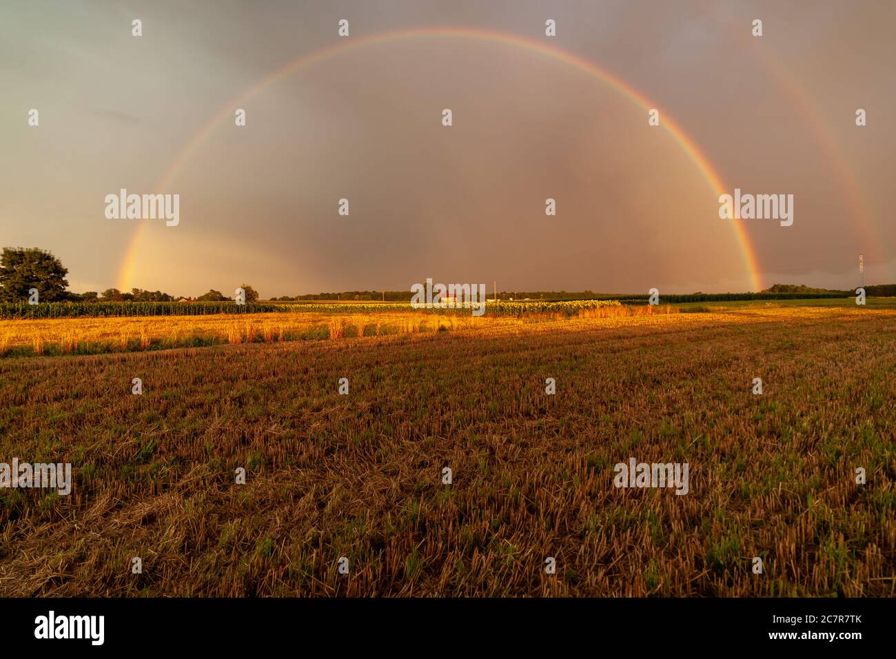 Field rainbow hi-res stock photography and images - Alamy