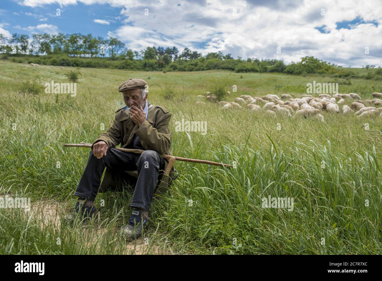 Portrait of an old shepherd with a cane sitting down and smoking near ...