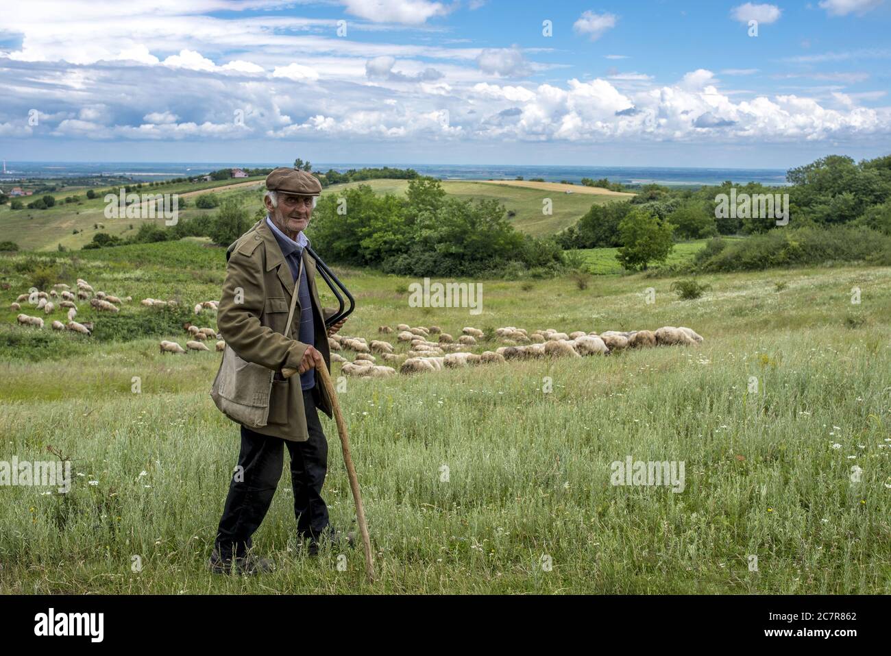 Portrait of old shepherd wearing flat cap and a green jacket smiling on ...