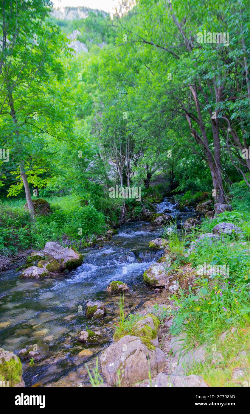 Small mountain river stream hi-res stock photography and images - Alamy