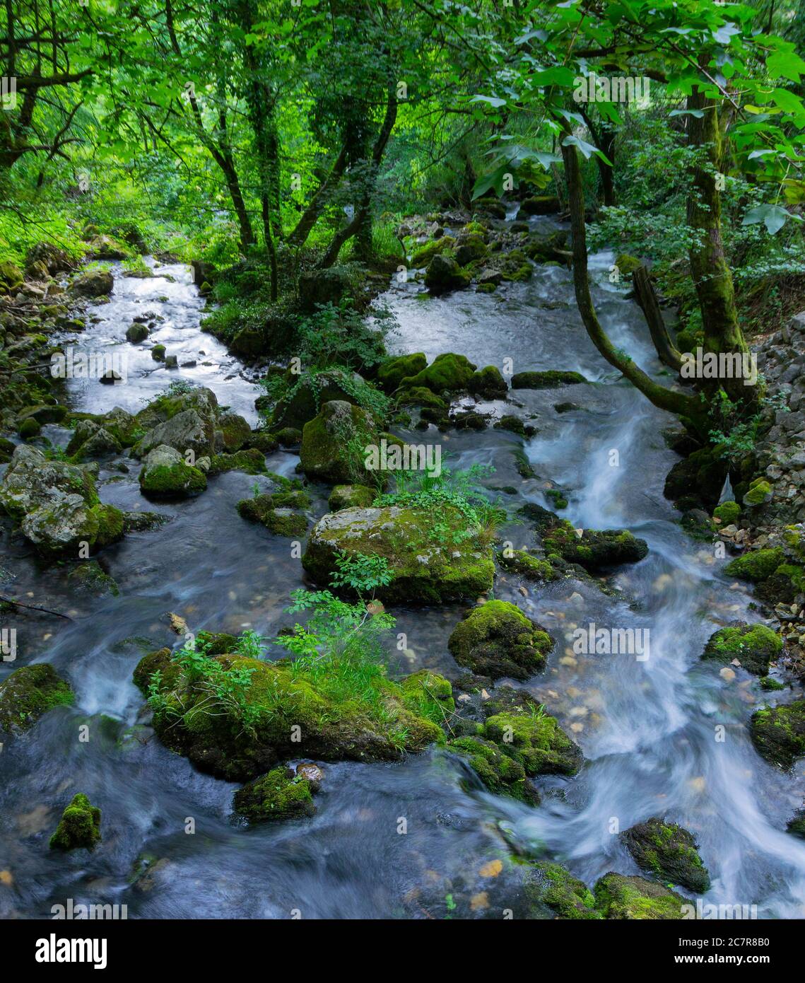Small mountain river stream hi-res stock photography and images - Alamy