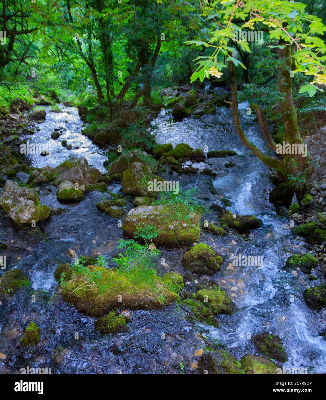Small mountain river stream hi-res stock photography and images - Alamy