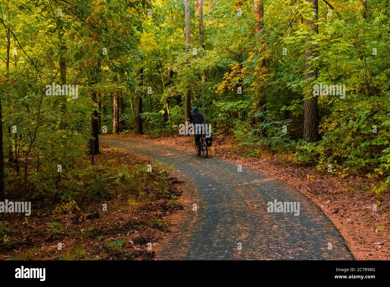 Bike path through an autumnal forest, bike path with cyclists, autumn ...