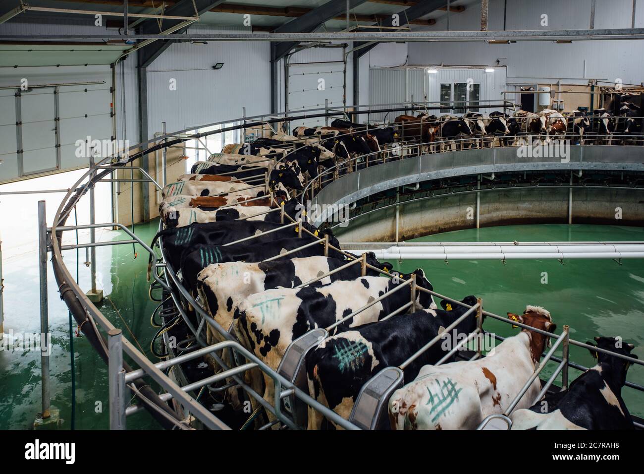 Agricultural Land With Milking Building at Jasmine Kilvington blog