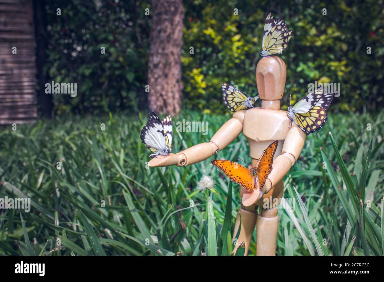 Wooden Human Manikin posing with an orange and yellow Butterflies ...