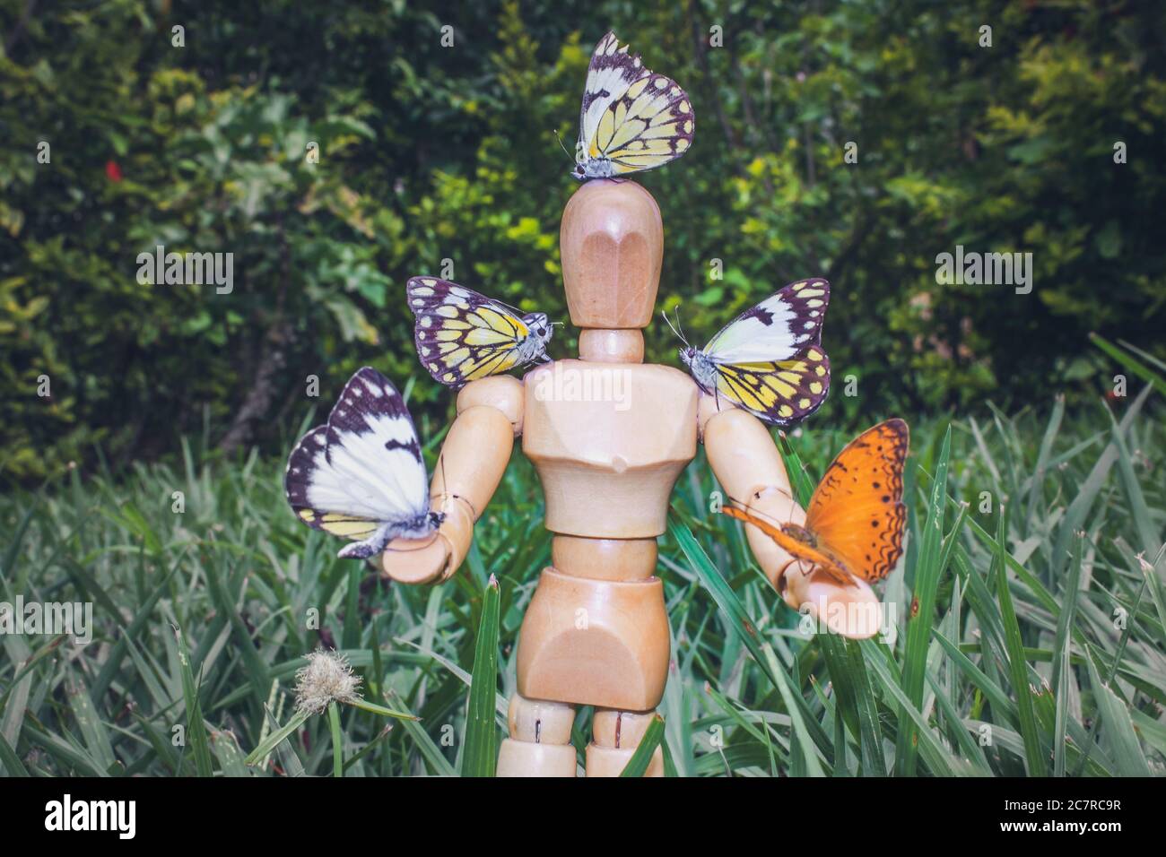 Wooden Human Manikin posing with an orange and yellow Butterflies ...