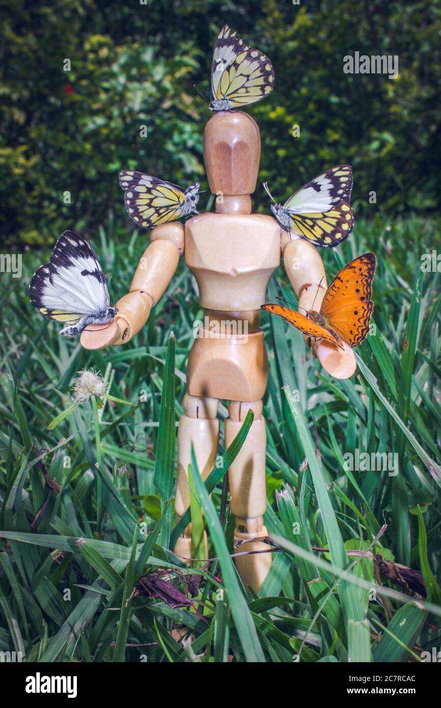 Wooden Human Manikin posing with an orange and yellow Butterflies ...