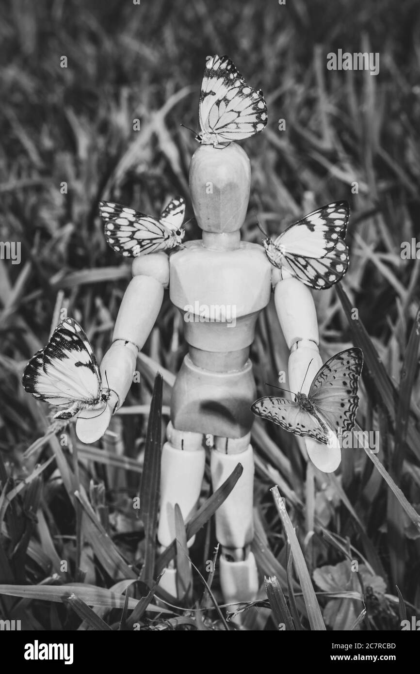Wooden Human Manikin posing with an orange and yellow Butterflies ...