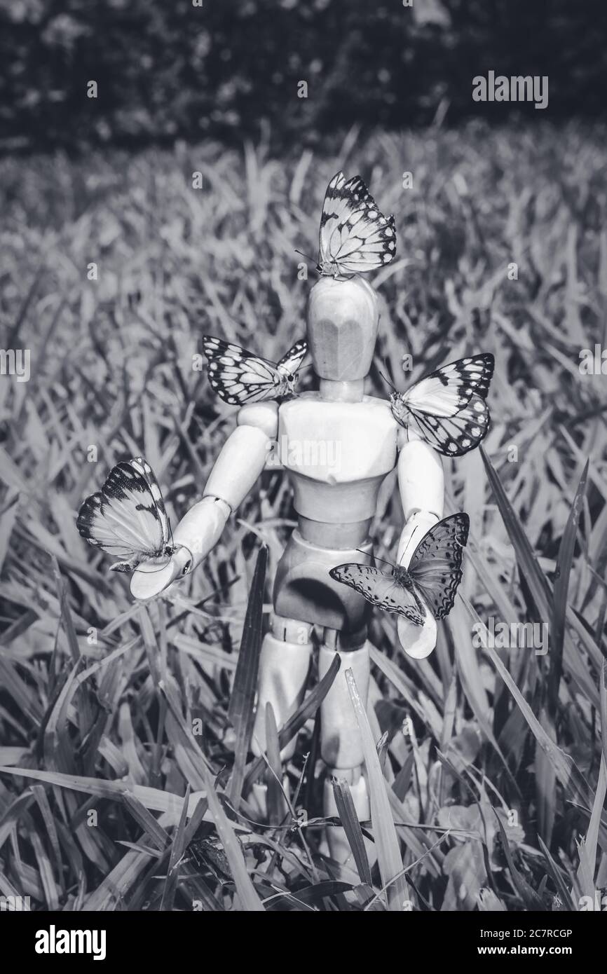 Wooden Human Manikin posing with an orange and yellow Butterflies ...