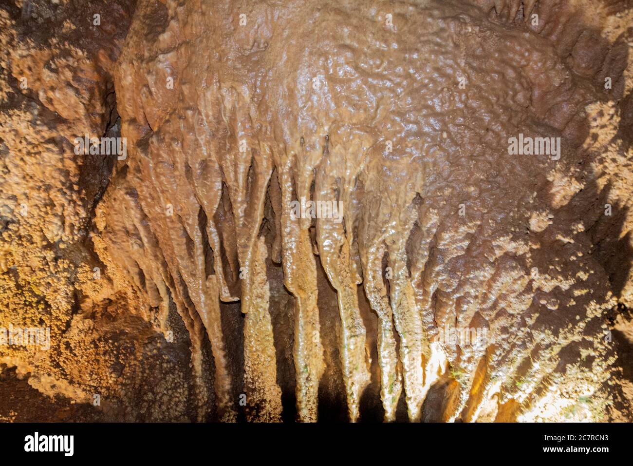 The cave is estimated to be 80 million years old. The symbol of the ...