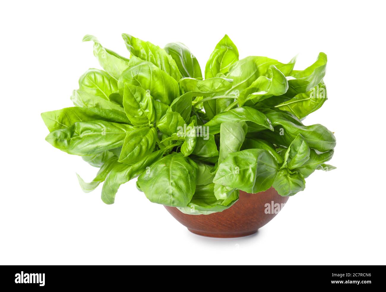 Fresh green basil in bowl isolated on white Stock Photo - Alamy