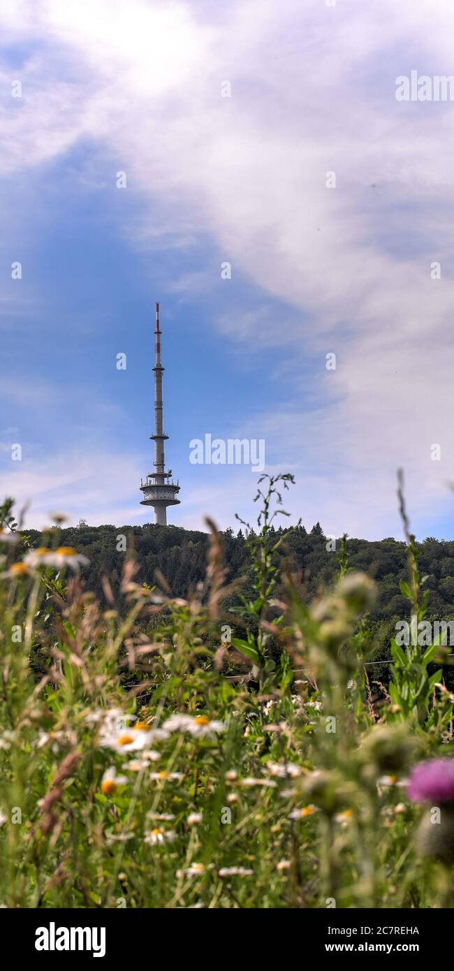 transmission mast on a hill Stock Photo - Alamy