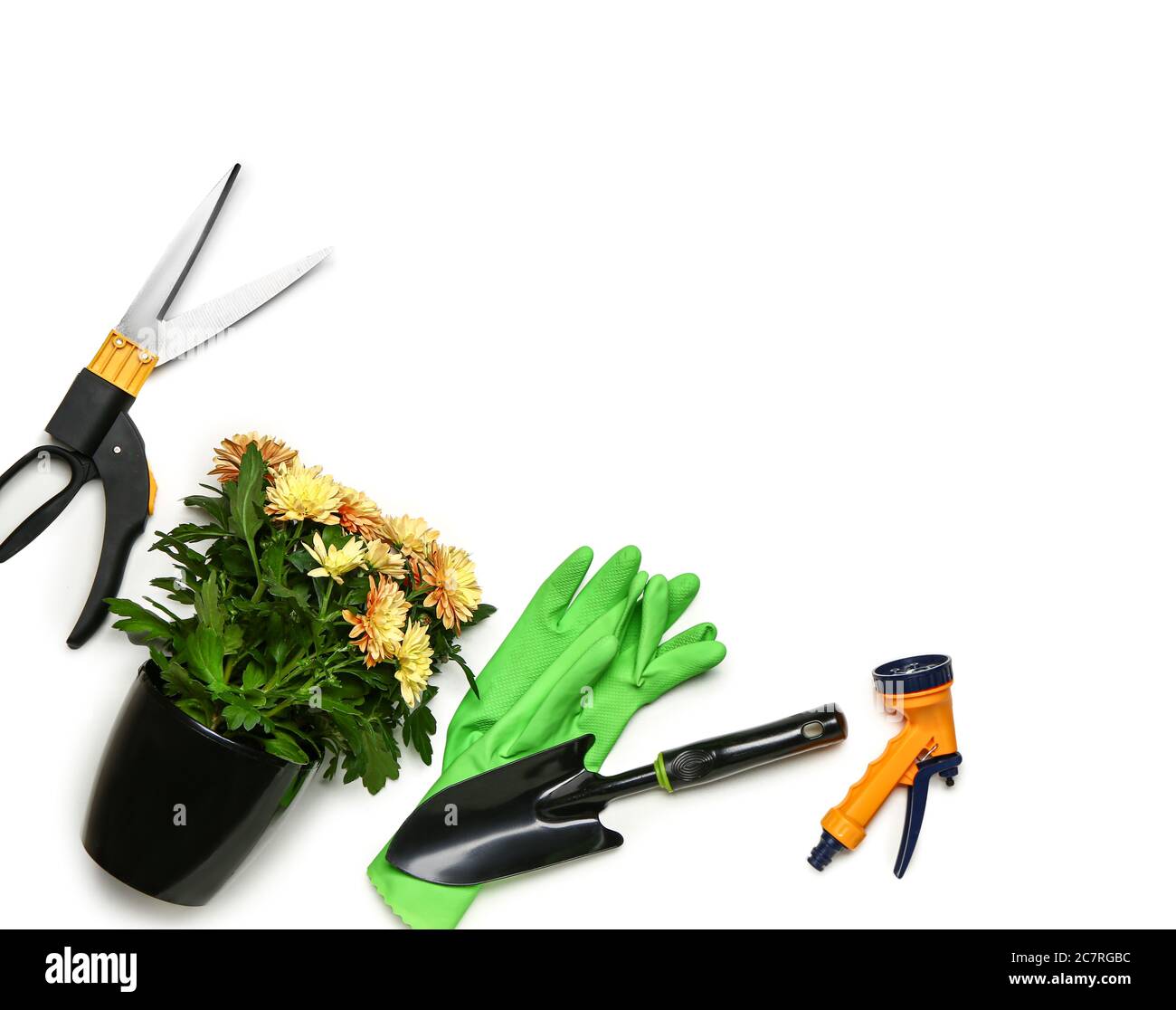 Set of gardening supplies with plant on white background Stock Photo ...