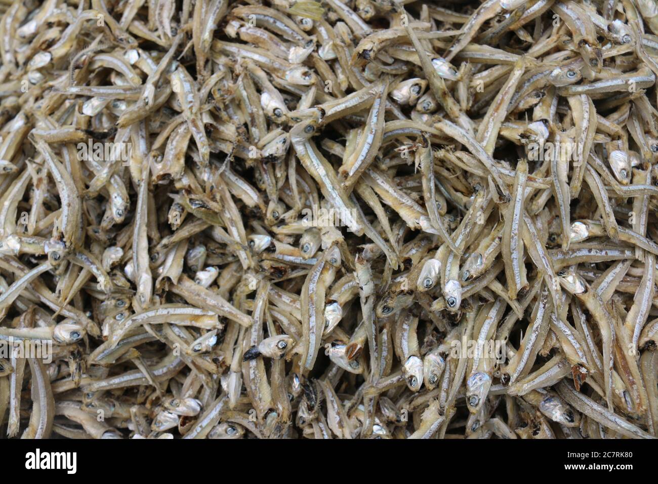 Kapenta hi-res stock photography and images - Alamy