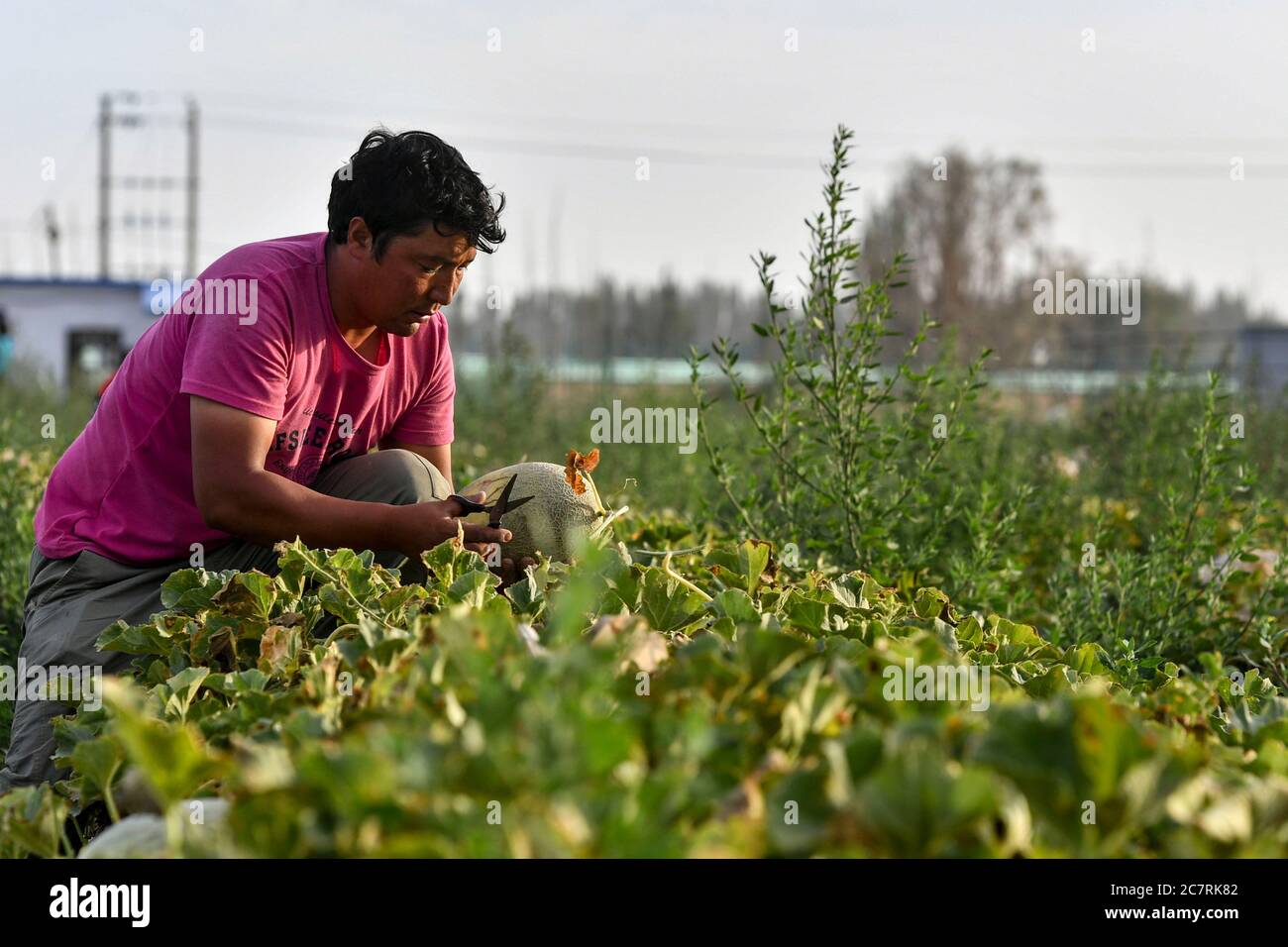 Standardize hi-res stock photography and images - Alamy