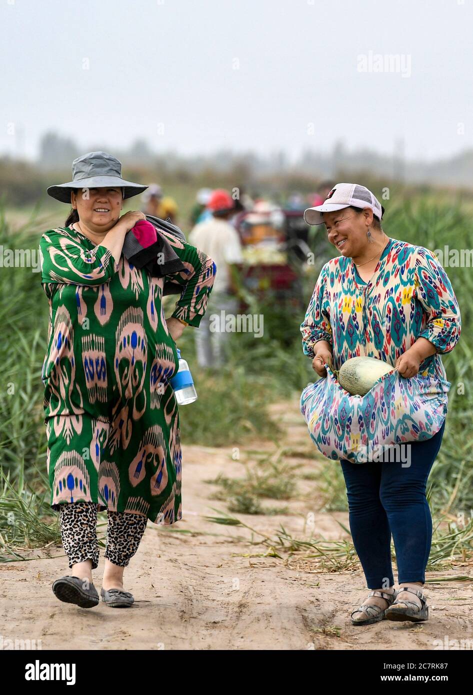 Standardize hi-res stock photography and images - Alamy