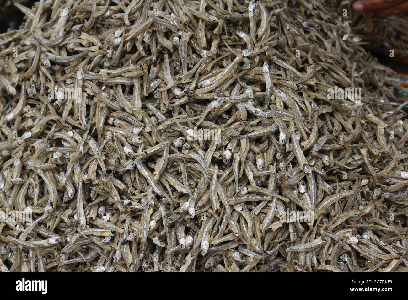 Kapenta hi-res stock photography and images - Alamy