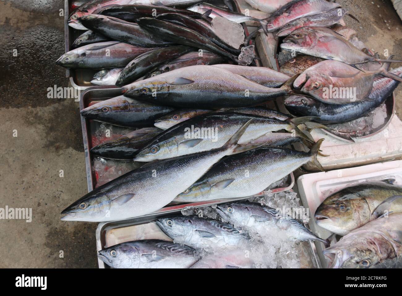Closeup shot of raw fishes in the food market Stock Photo - Alamy