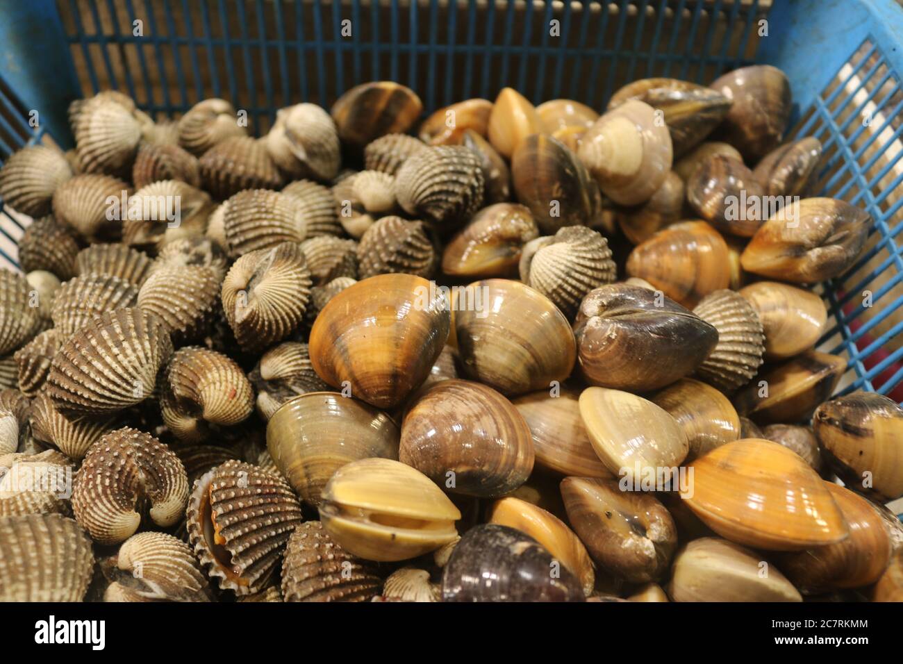 Cockle meat hi-res stock photography and images - Alamy