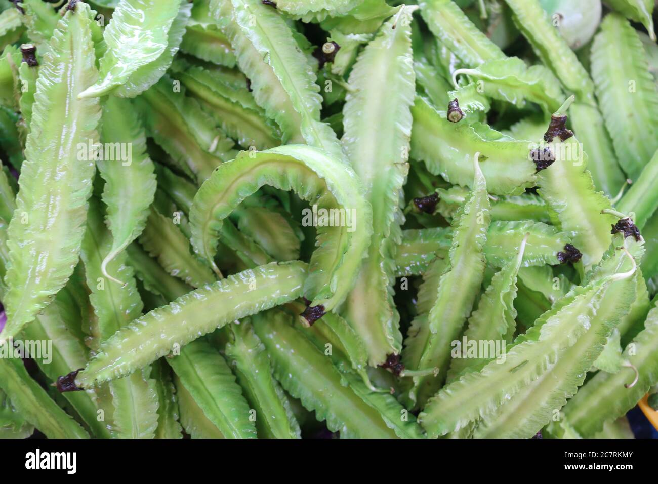 Alchetron hi-res stock photography and images - Alamy