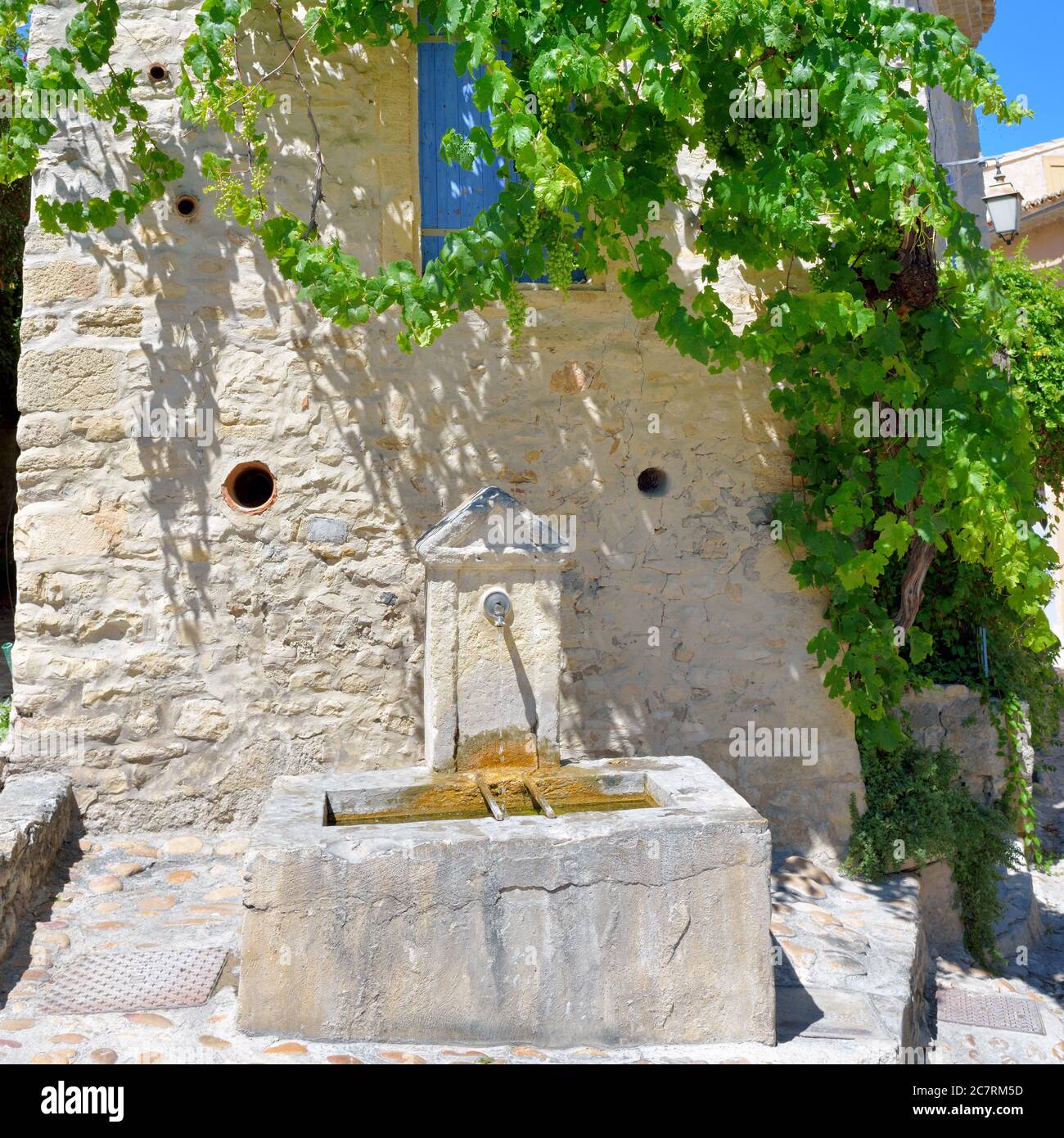 Public tap water device on the facade, covered a green wild vine, of ...
