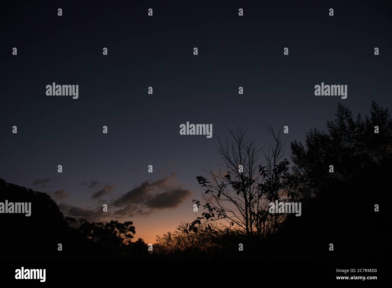 Golden sunset tree silhouettes hi-res stock photography and images - Alamy