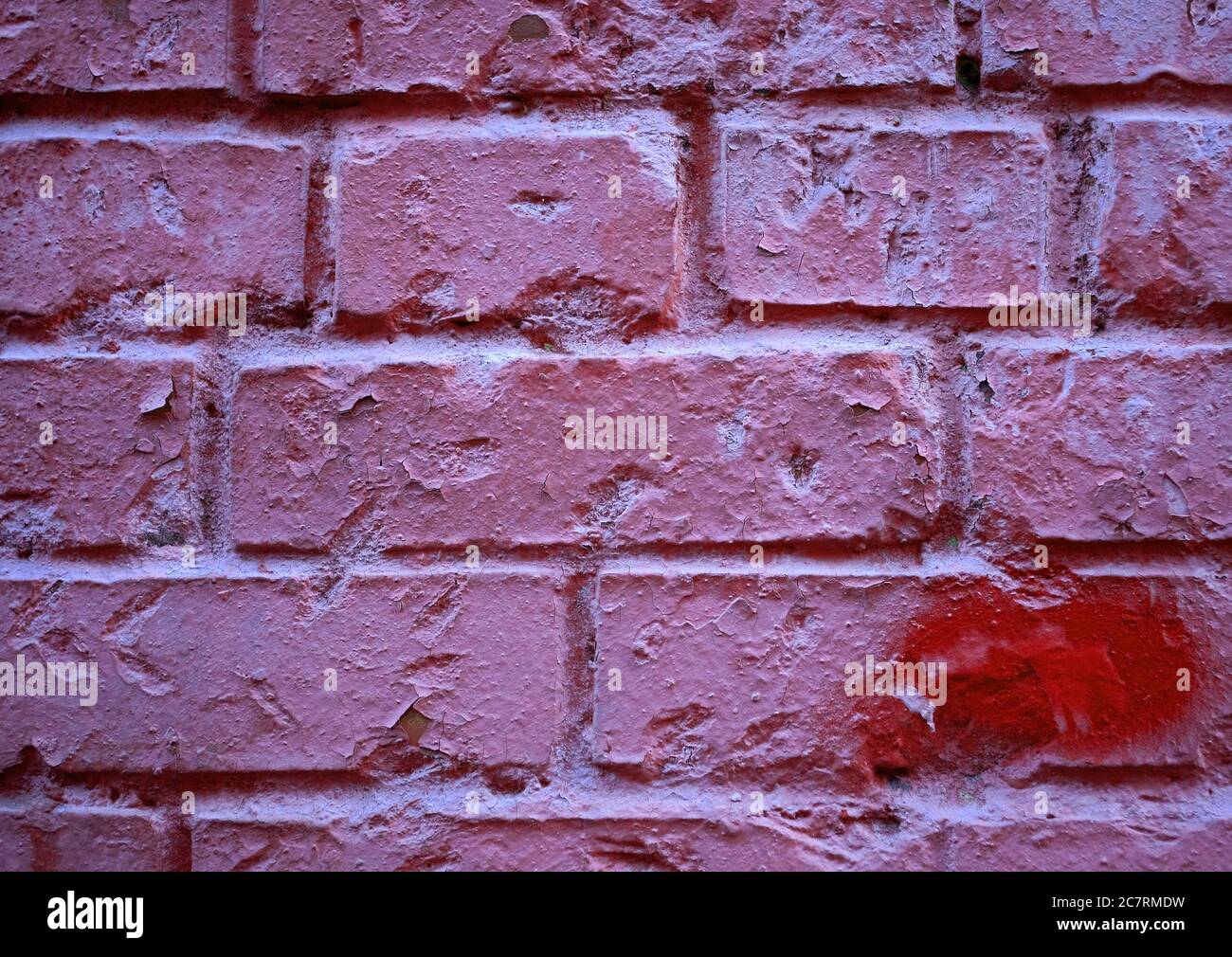 Background. Brick wall painted with Magenta paint Stock Photo - Alamy