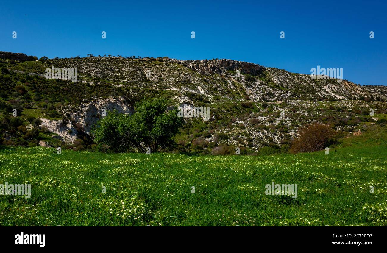 Water meadows and hills on the Mediterranean coast on the island of ...