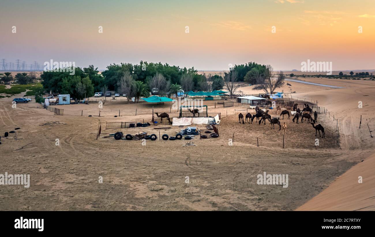 Beautiful Desert landscape view in Al Hofuf Saudi Arabia Stock Photo ...