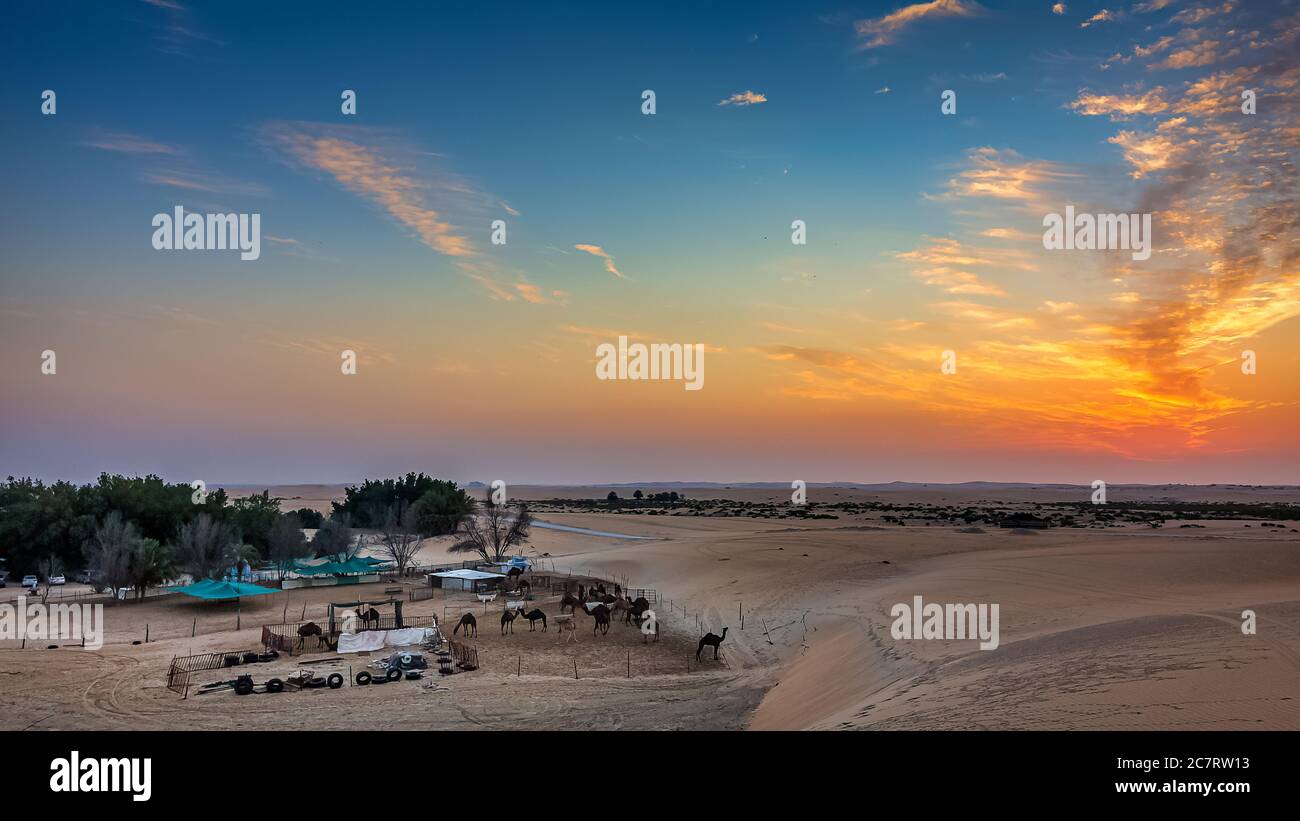 Beautiful Desert landscape view in Al Hofuf Saudi Arabia Stock Photo ...
