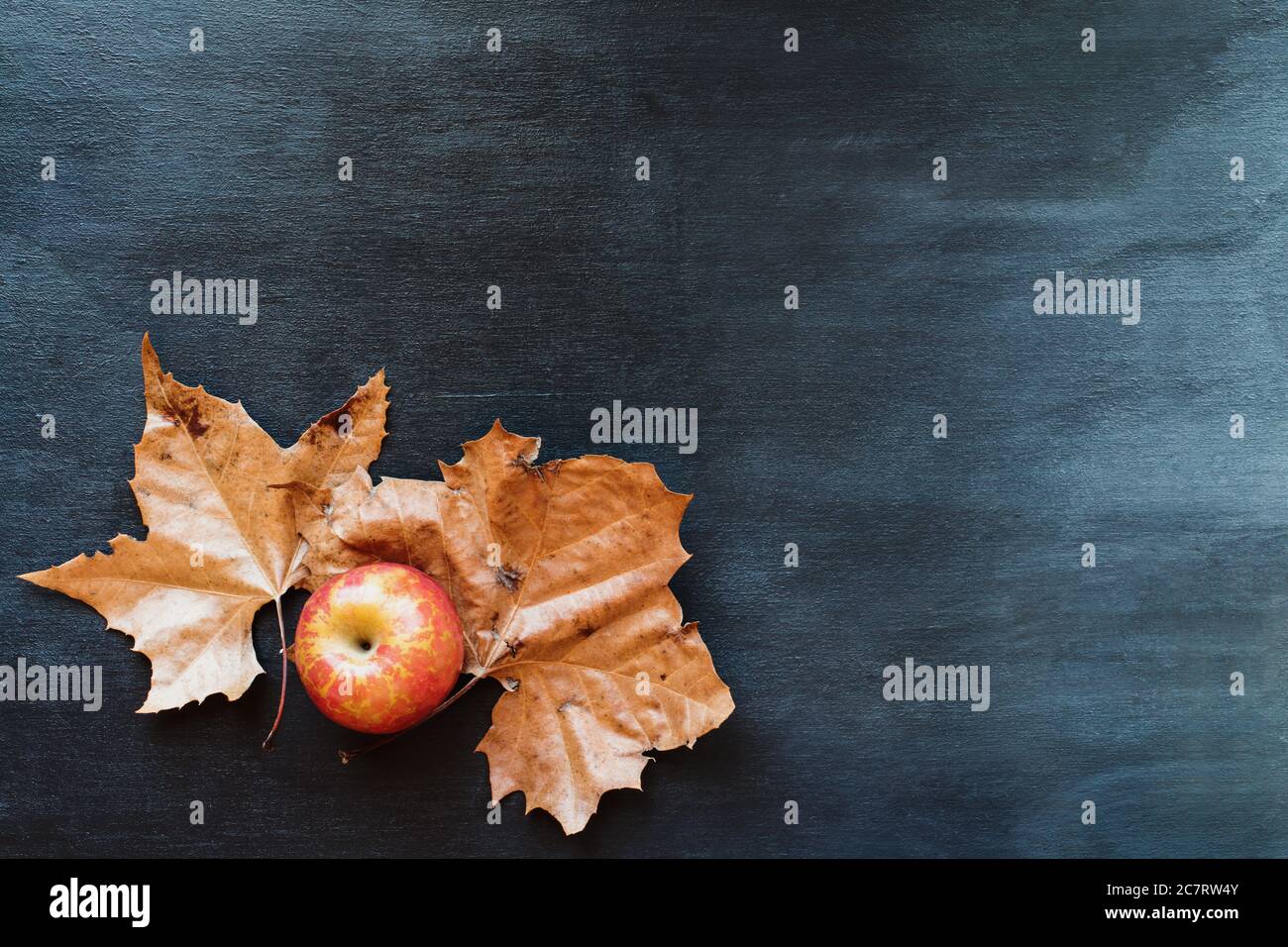 Fall ombre leaves hi-res stock photography and images - Alamy