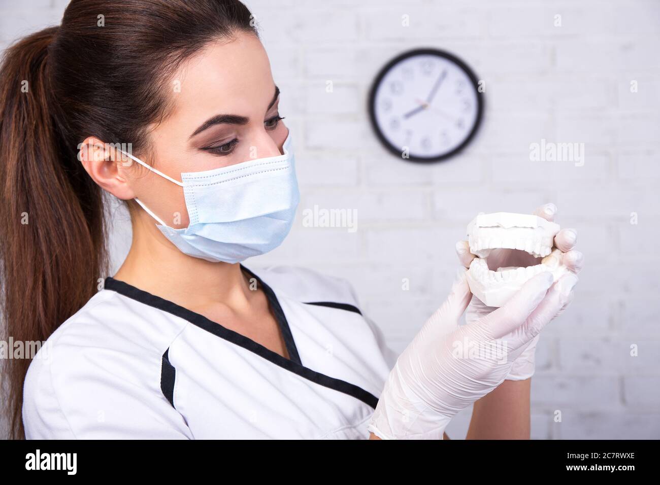 surgery concept - portrait of dentist woman holding teeth model Stock ...