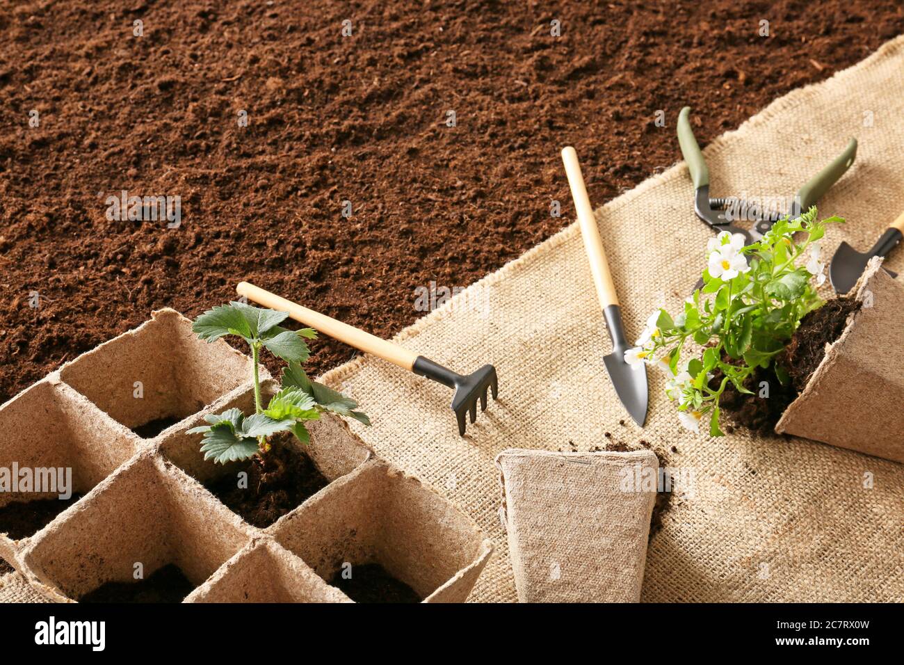 Set of gardening tools on soil Stock Photo - Alamy