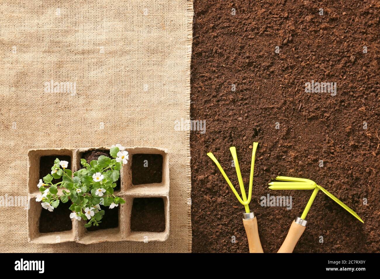 Set of gardening tools on soil Stock Photo - Alamy