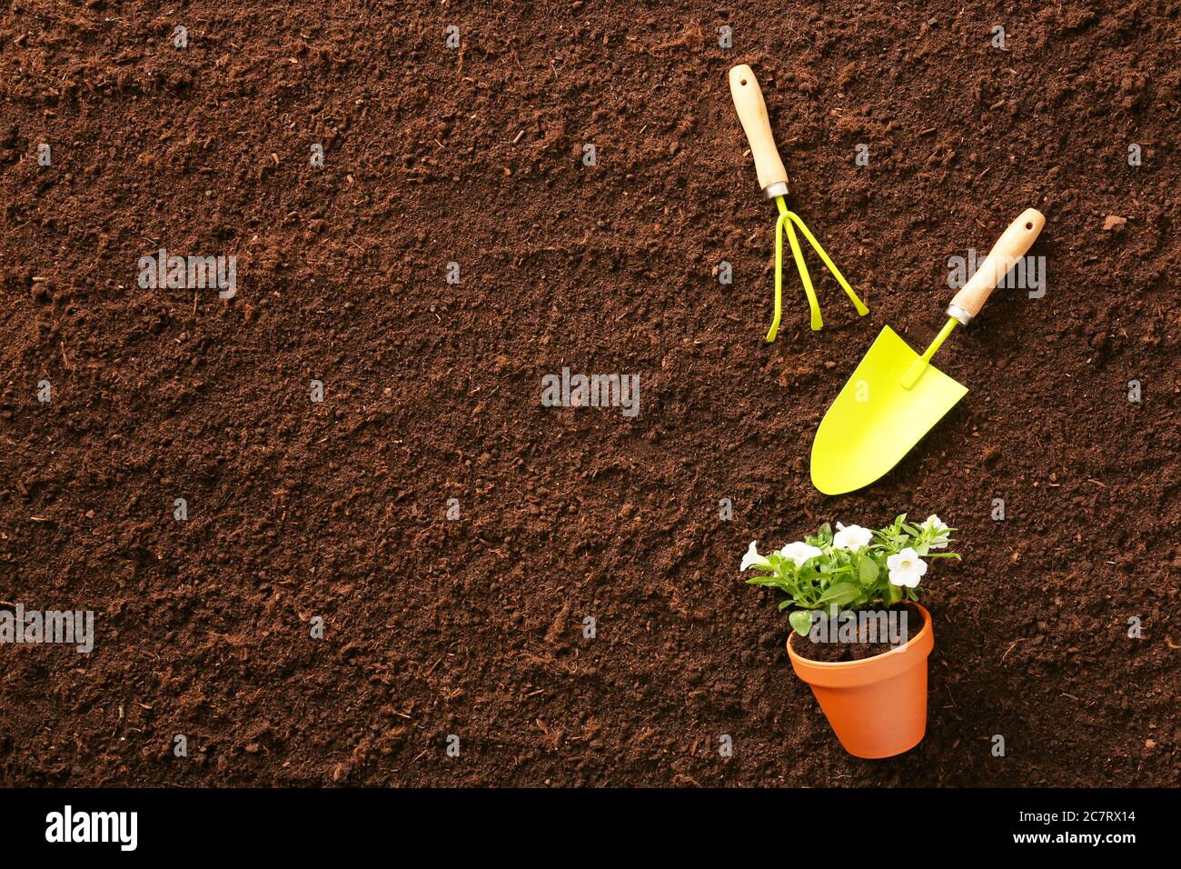 Plant and gardening tools on soil Stock Photo - Alamy