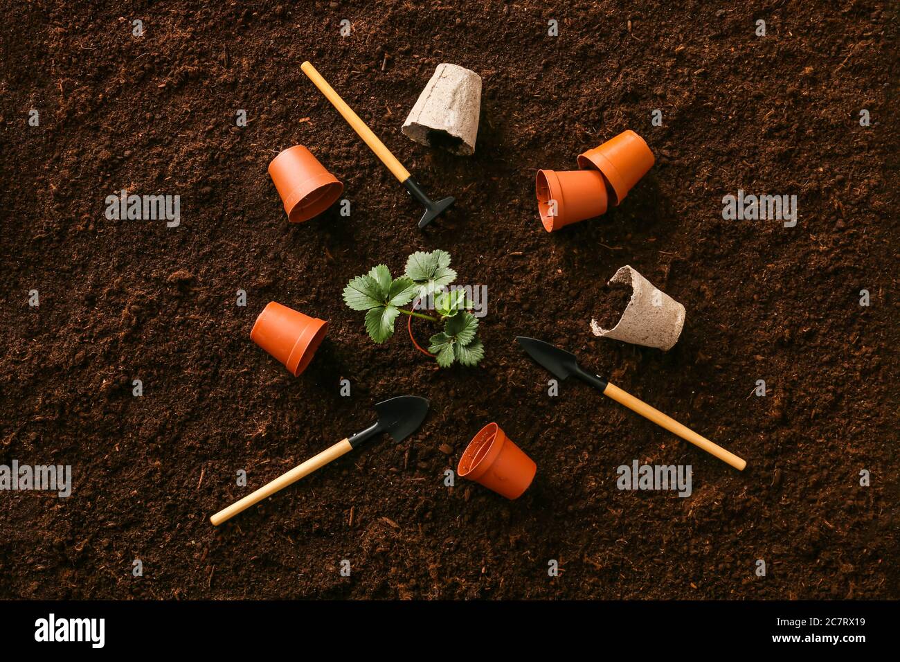 Set of gardening tools on soil Stock Photo - Alamy