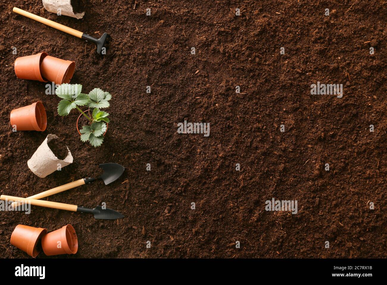 Set of gardening tools on soil Stock Photo - Alamy