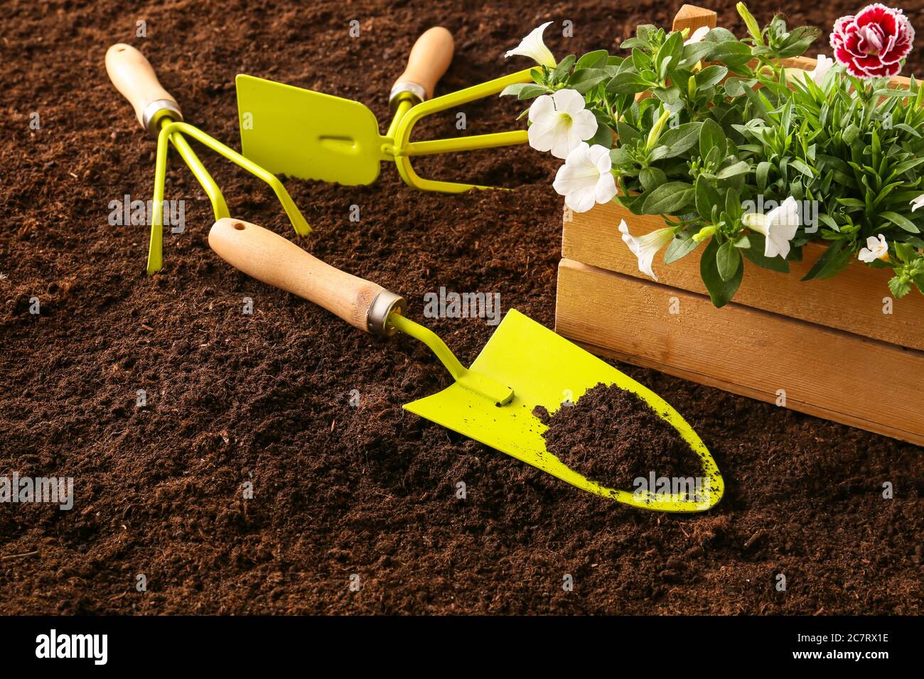 Set of gardening tools on soil Stock Photo - Alamy