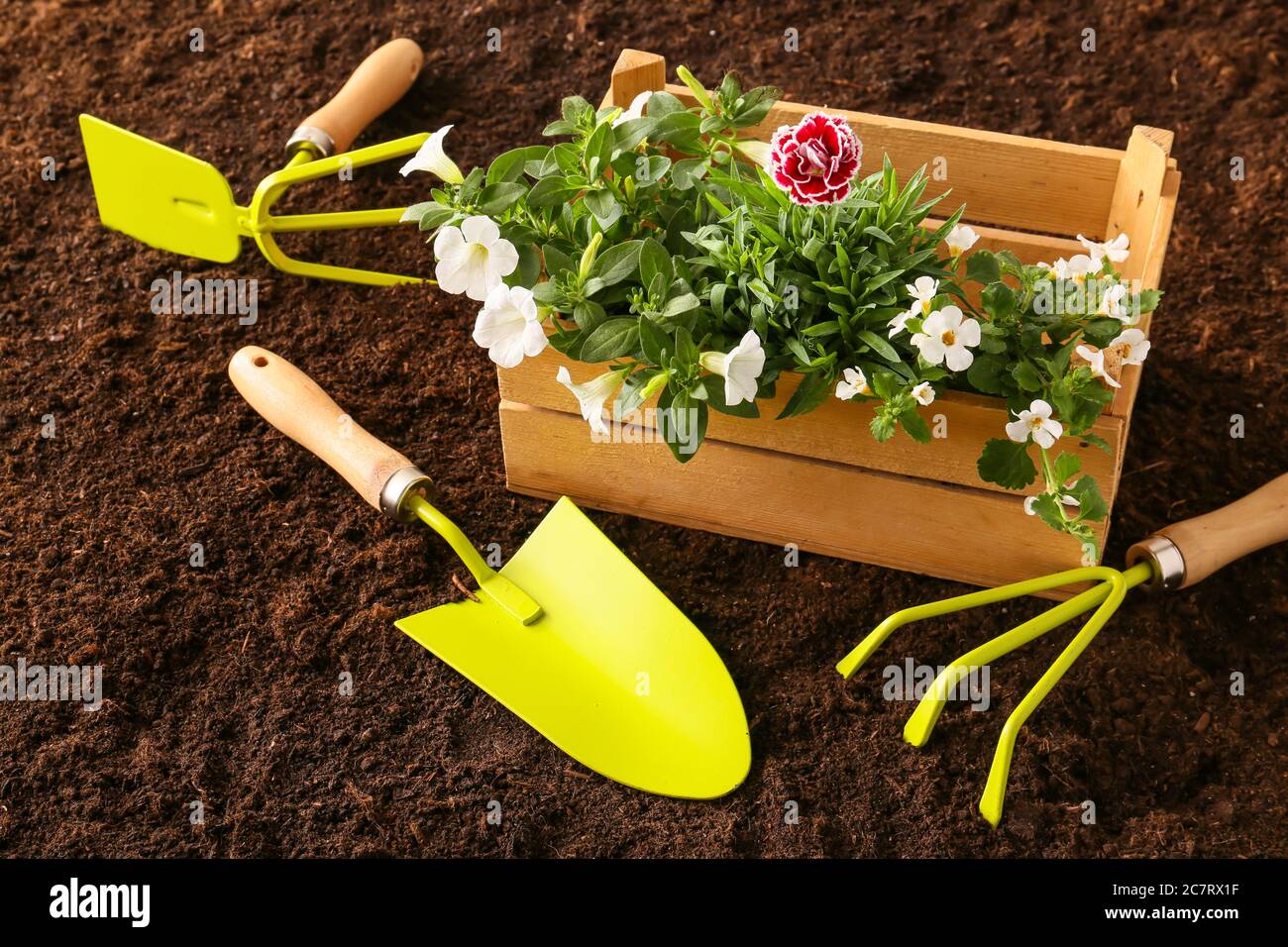 Set of gardening tools on soil Stock Photo - Alamy