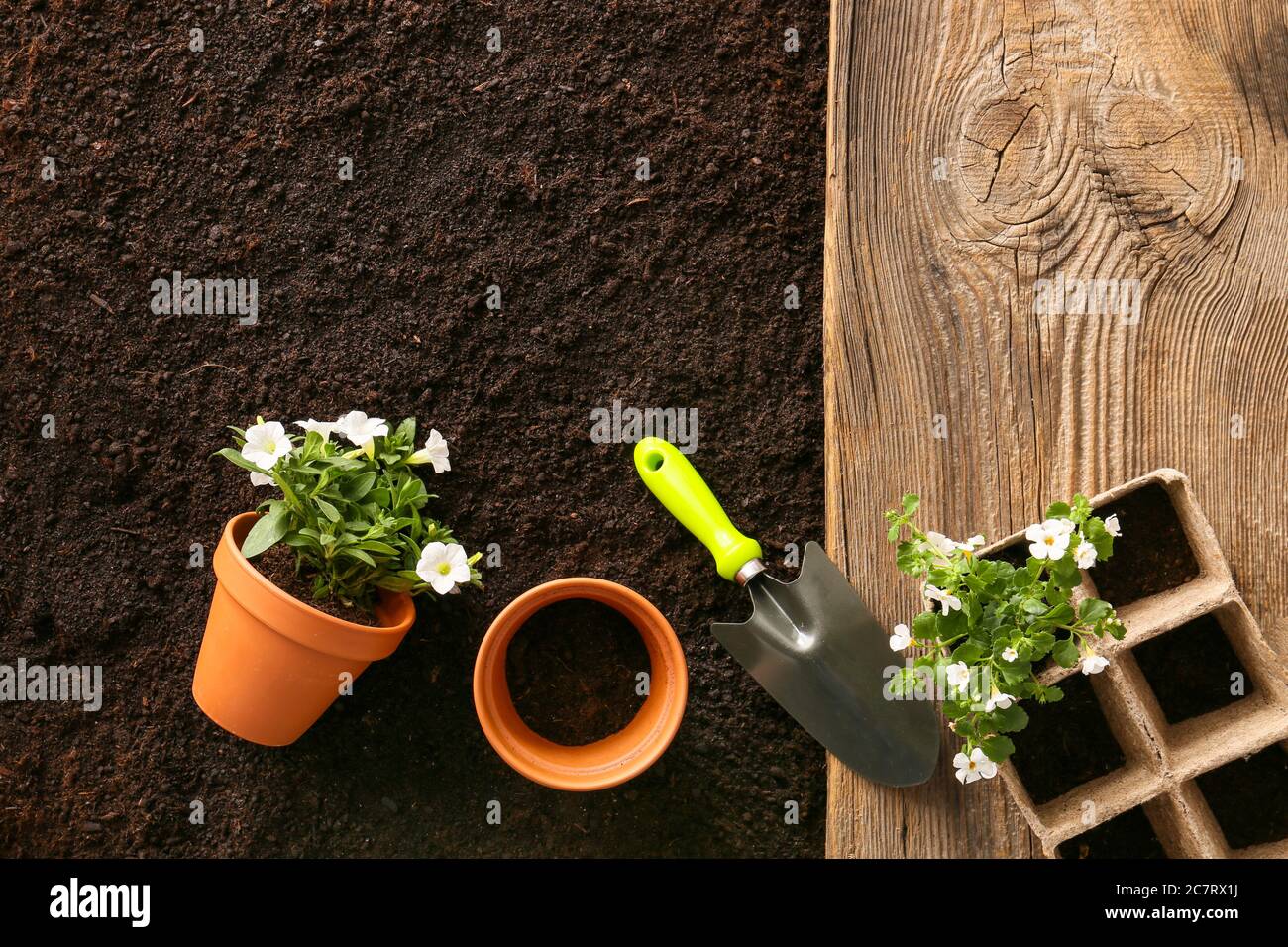 Set of gardening tools on soil Stock Photo - Alamy