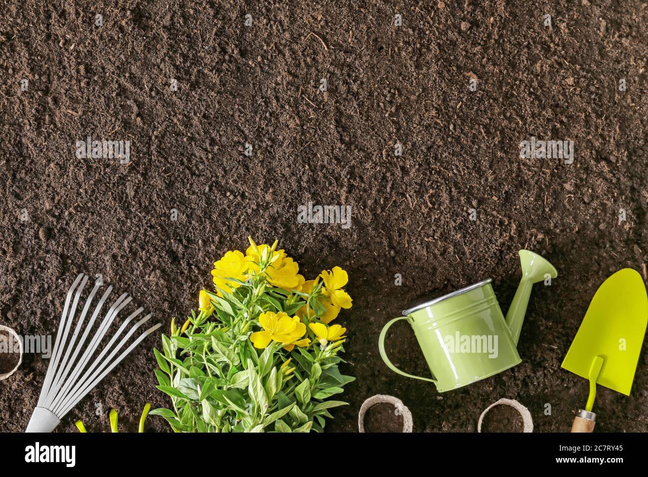 Supplies for gardening with plant on soil background Stock Photo - Alamy