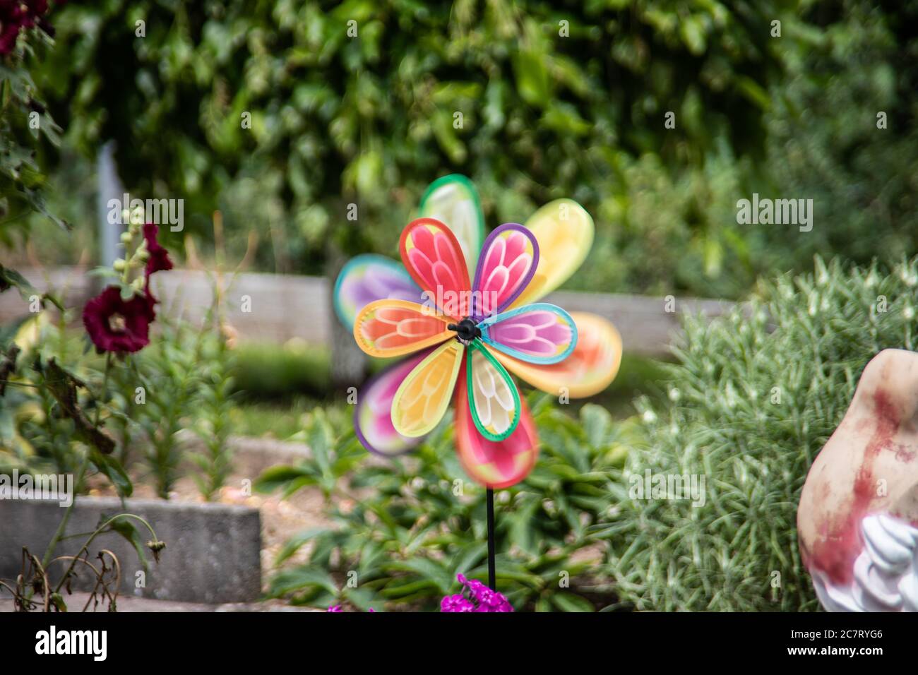 colorful metallic pinwheel shows the wind direction and turns a ...