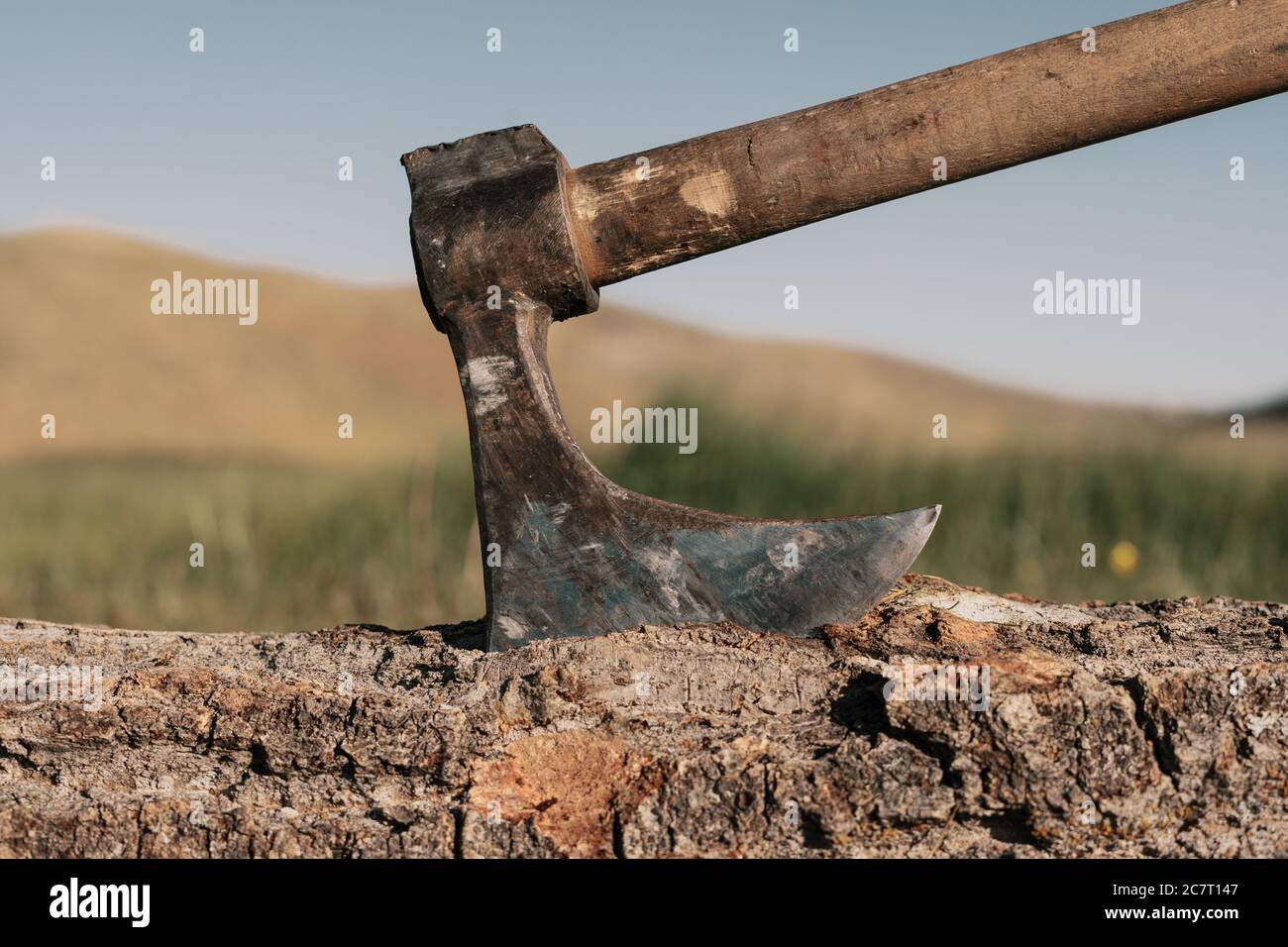 The ax splits a log in the mountains. Firewood chopping. Chopping wood ...