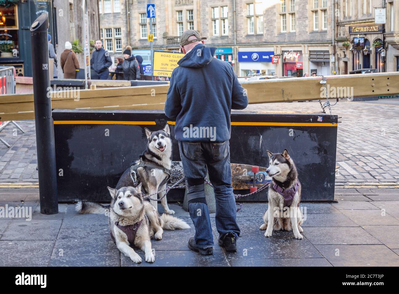 Husky dogs in Edinburgh, the capital of Scotland, part of United ...