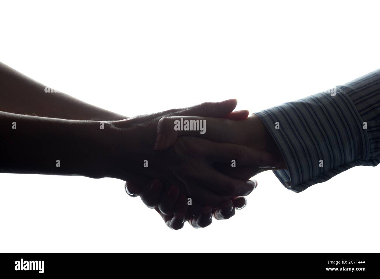 Handshake of two women, a business agreement - horizontal silhouette ...