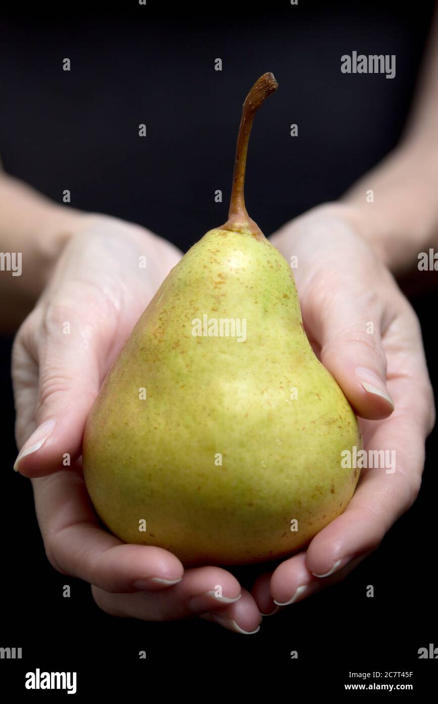 Yellow pear on a woman's hand on black background - horizontal Stock ...